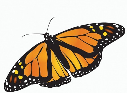 How to pass pointers to functions in C with example | Learn C Online